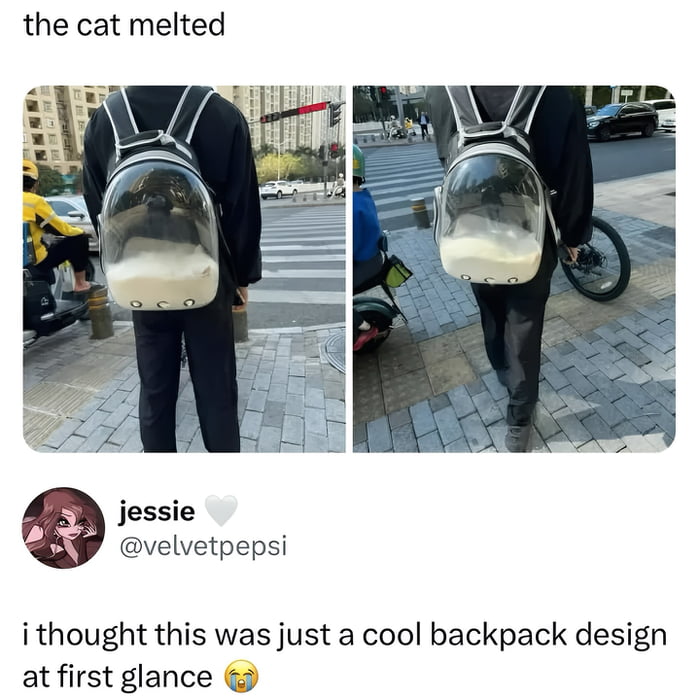 Thought it was a cool backpack design, turns out the cat melted - 9GAG