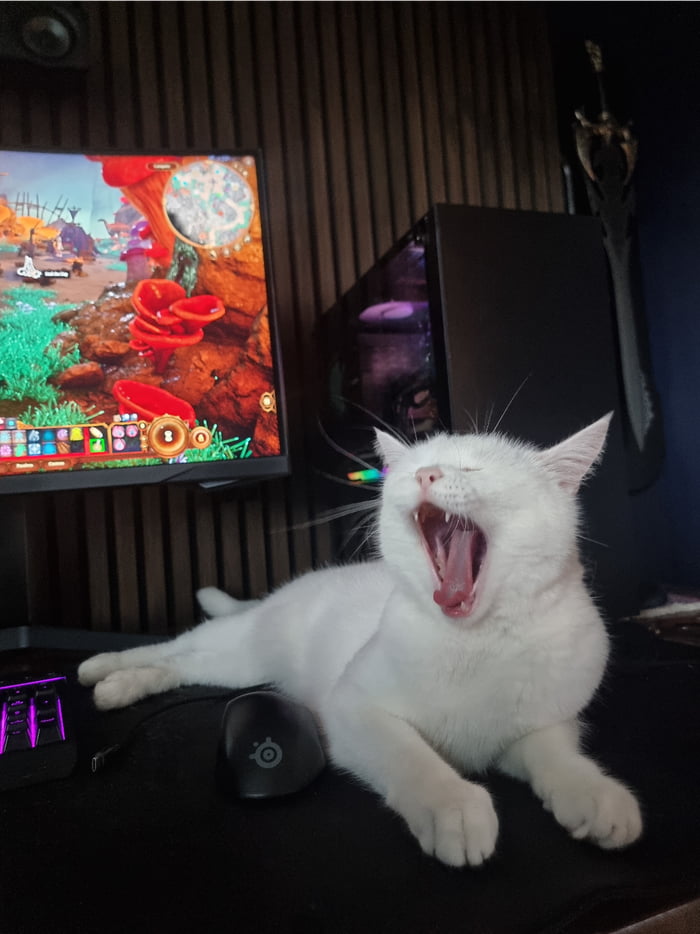 Only reason why I have max mouse sensitivity - 9GAG