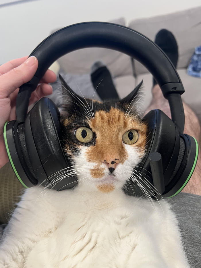 Professional Gamer - 9GAG