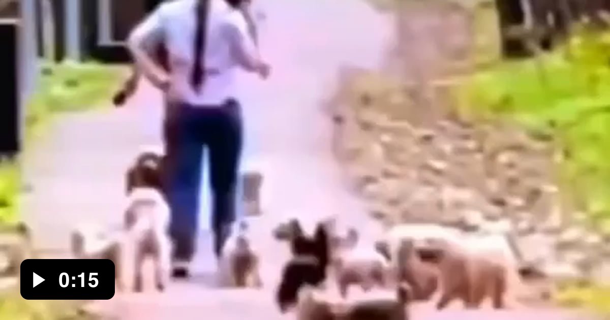 Who's walking who now? - 9GAG