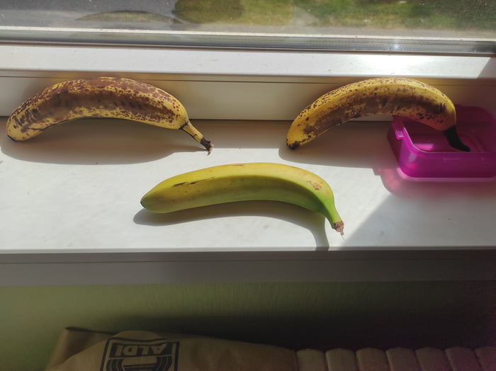 Day 6! Right one looks a little bit better but i think she was it from ...