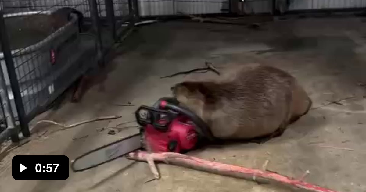 They are evolving - 9GAG