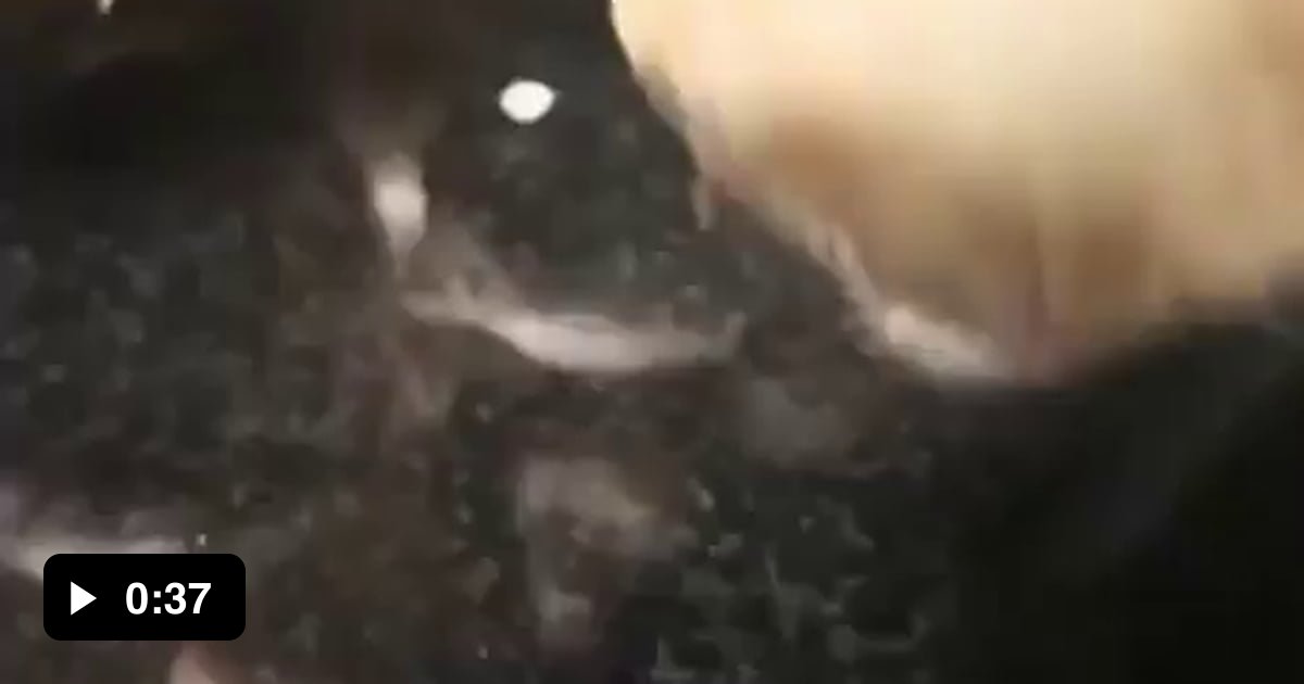 Uploading my old 9gag collection day 47 - 9GAG