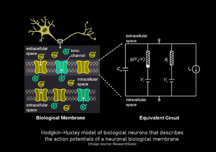 How neuron is going - 9GAG