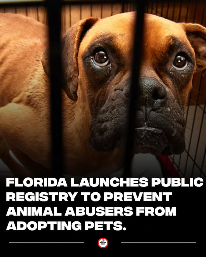 Finally some good news for our furry friends - 9GAG