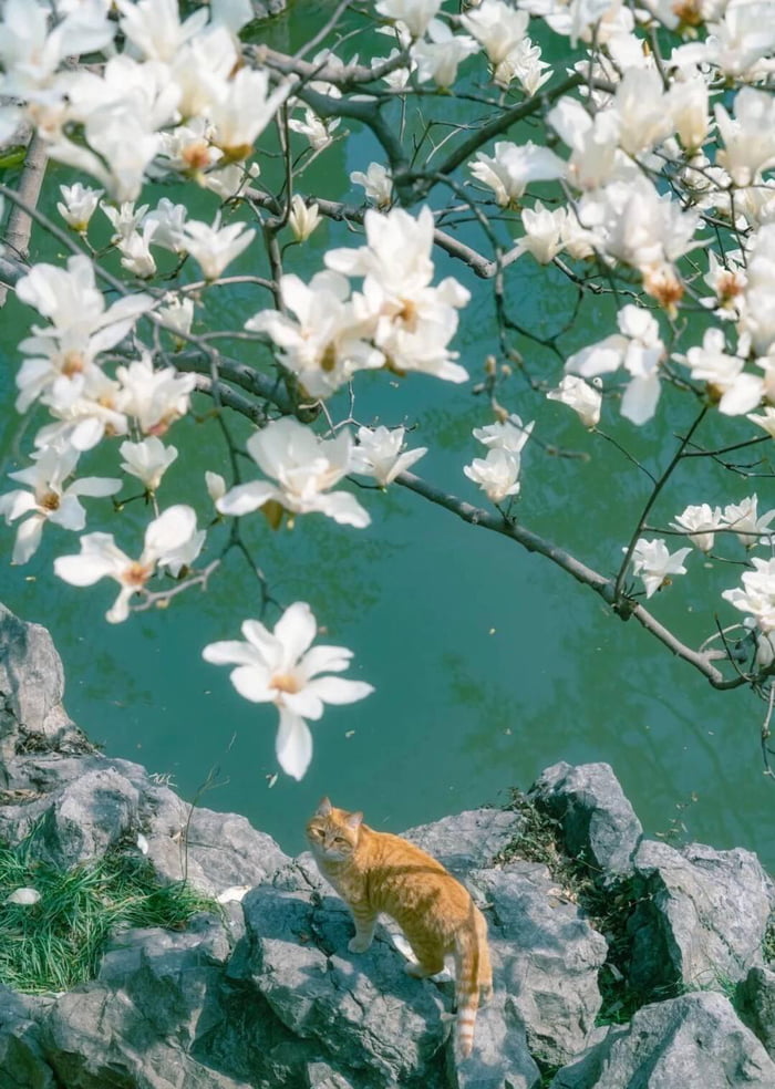 The picture is not very clear but it gives a strong impression. - 9GAG