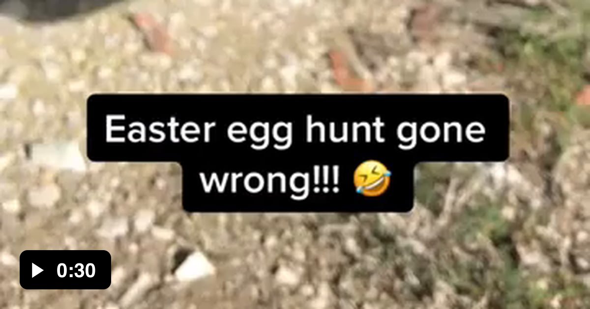 Egg goes in without consequence, comes out with consequences - 9GAG