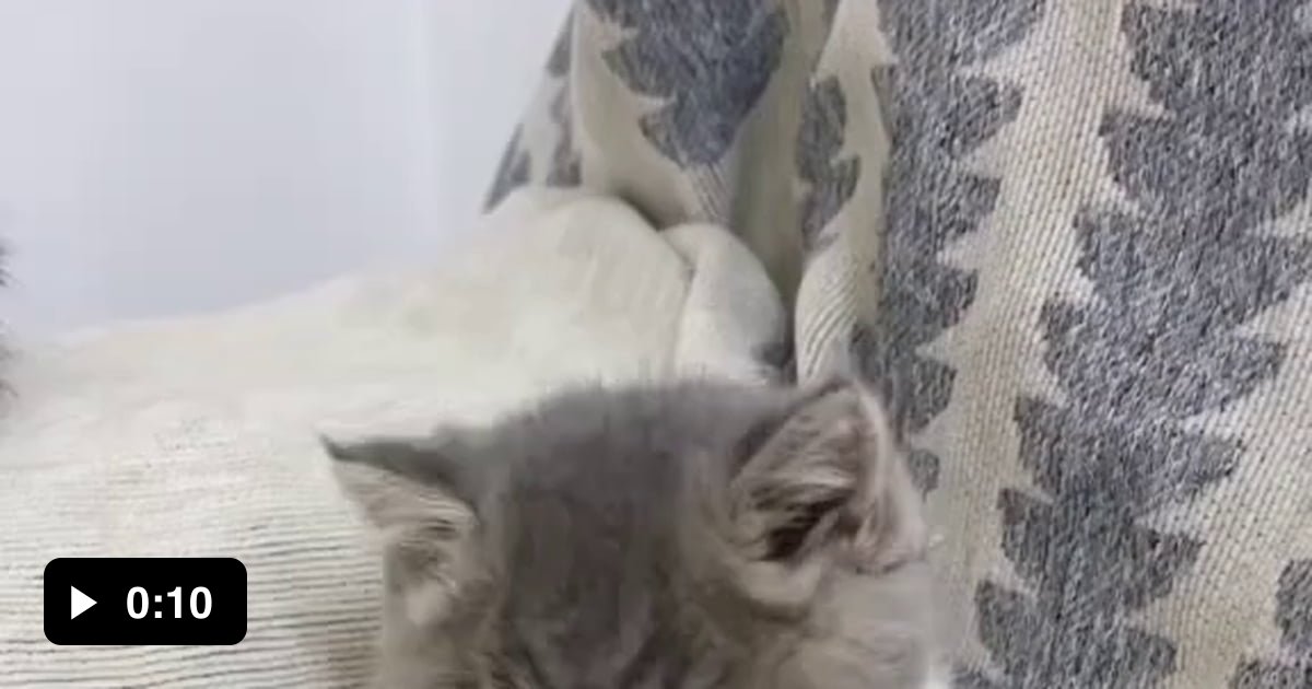 So many beans and so little time - 9GAG