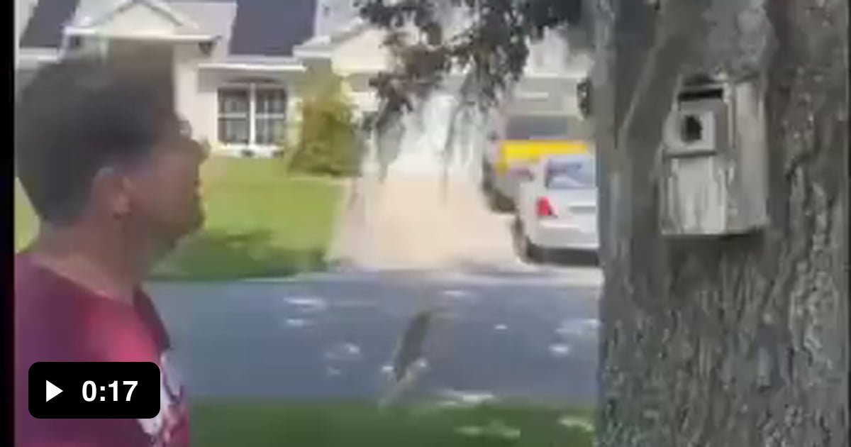 Someone got a nut - 9GAG