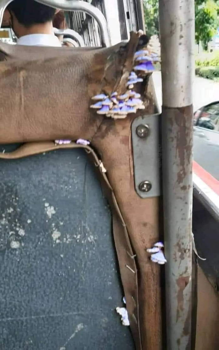 The Last of Bus. - 9GAG