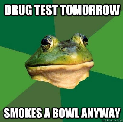 Druggie frog day - 9GAG