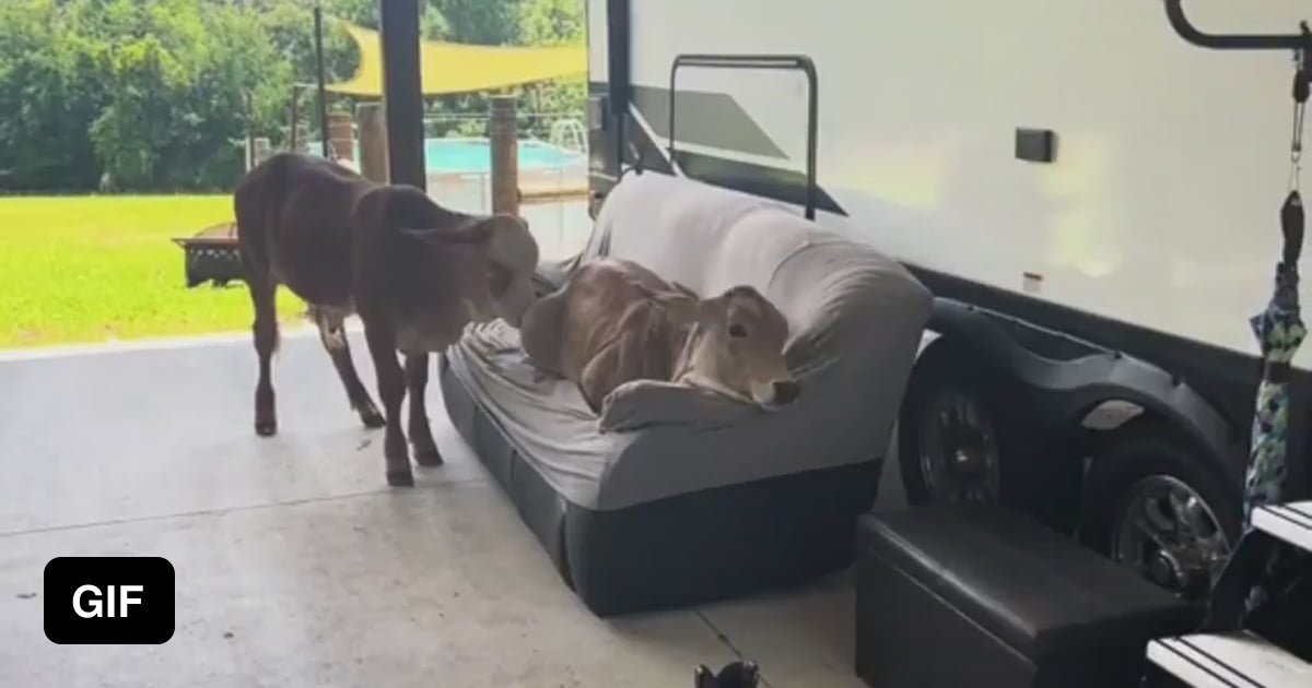 Relaxing on the couch - 9GAG