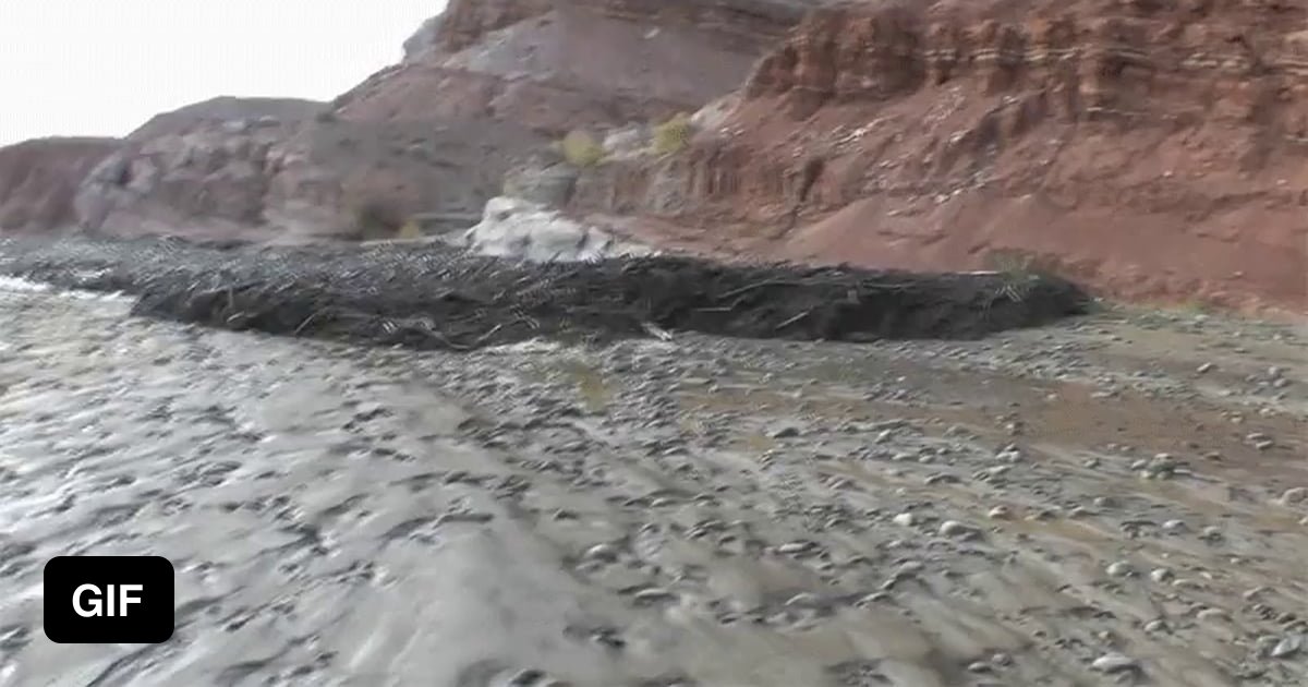 Flash flood monster - 9GAG