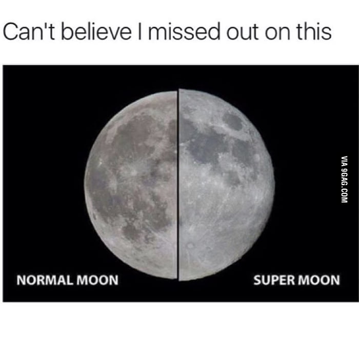 Such difference. Much bigger. Wow - 9GAG