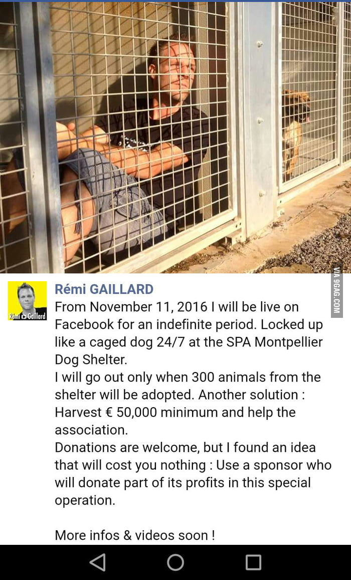 Sick. If you're a fan of Remi Gaillard or support the cause you don't ...