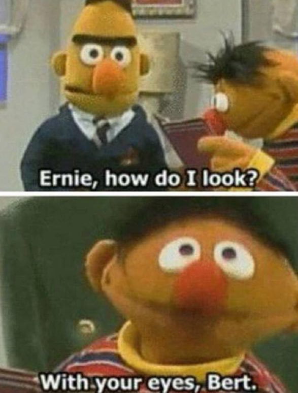 Ernie, how do I look? With your eyes, bert - 9GAG