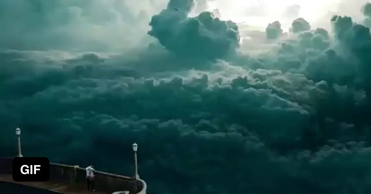 The most perfect loop - 9GAG