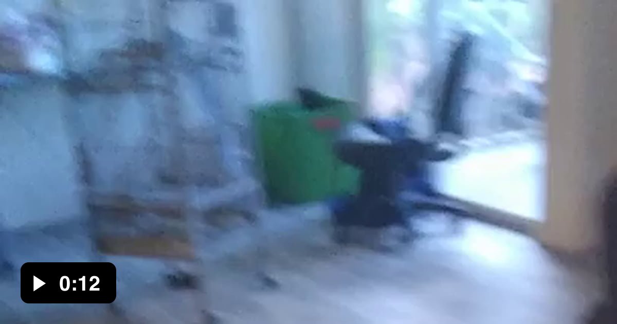 Parrot vs nurse, the parrot won - 9GAG