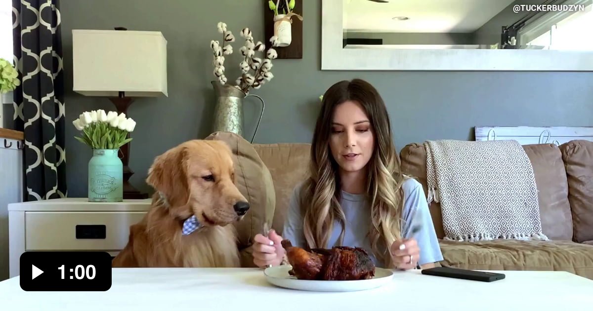 Must Resist Chicken! - 9GAG