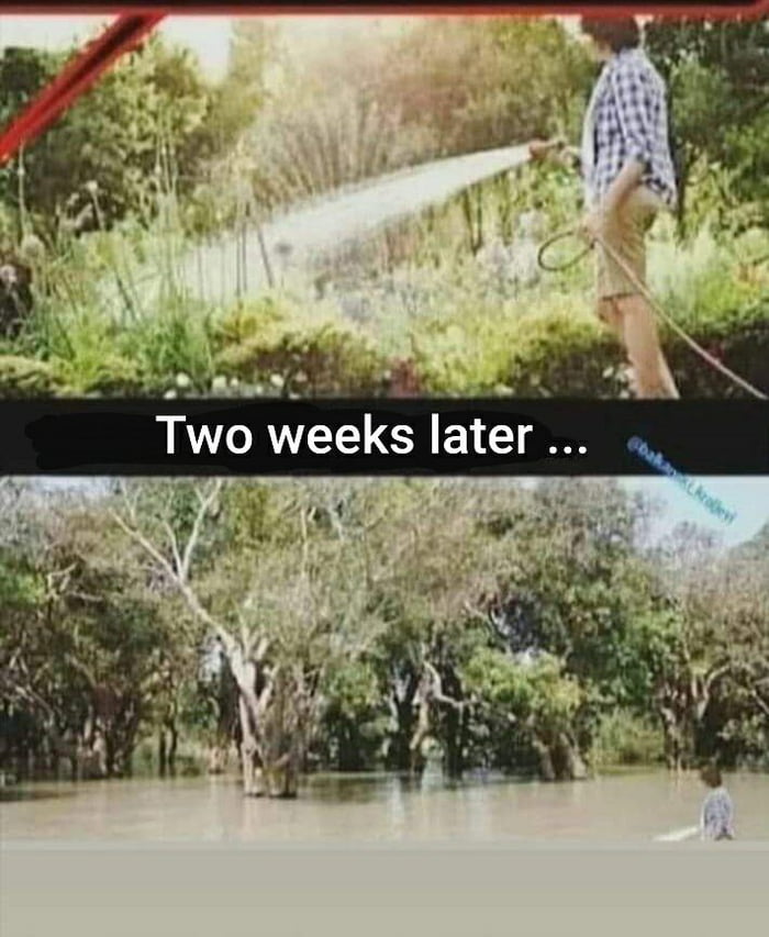 Dear, when you finish watering the plants please come in I would like to discuss about something ...