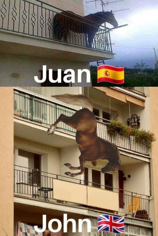 Horse balconing - 9GAG