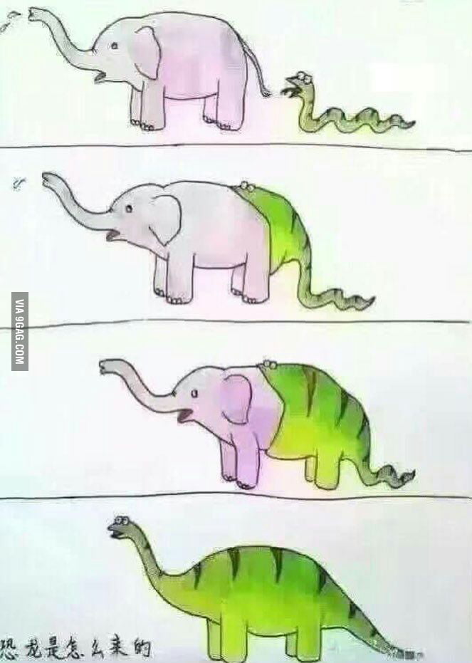 F**k creationism and evolution. This is what happened. - 9GAG
