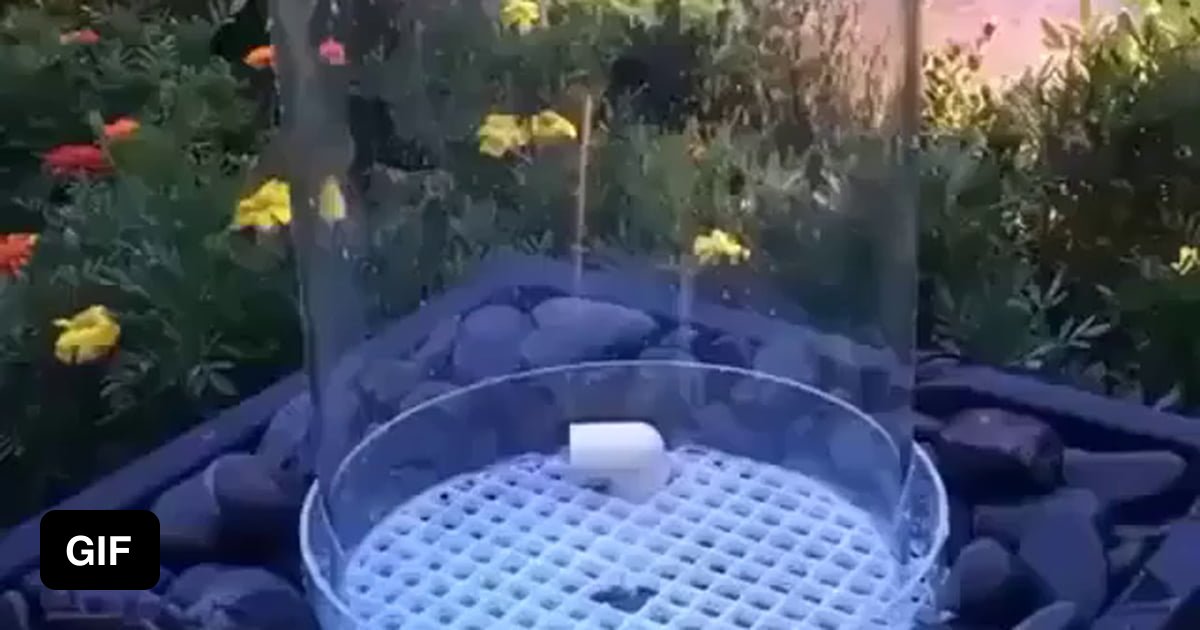 Satisfaction level: 100 - 9GAG