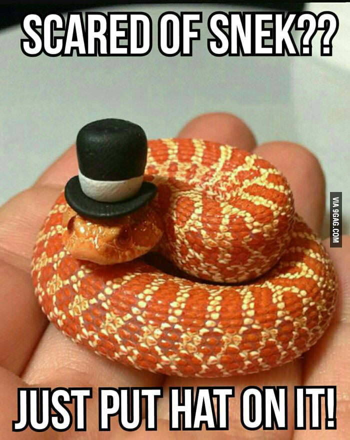SNEKK IS BACK BISHEZ - 9GAG