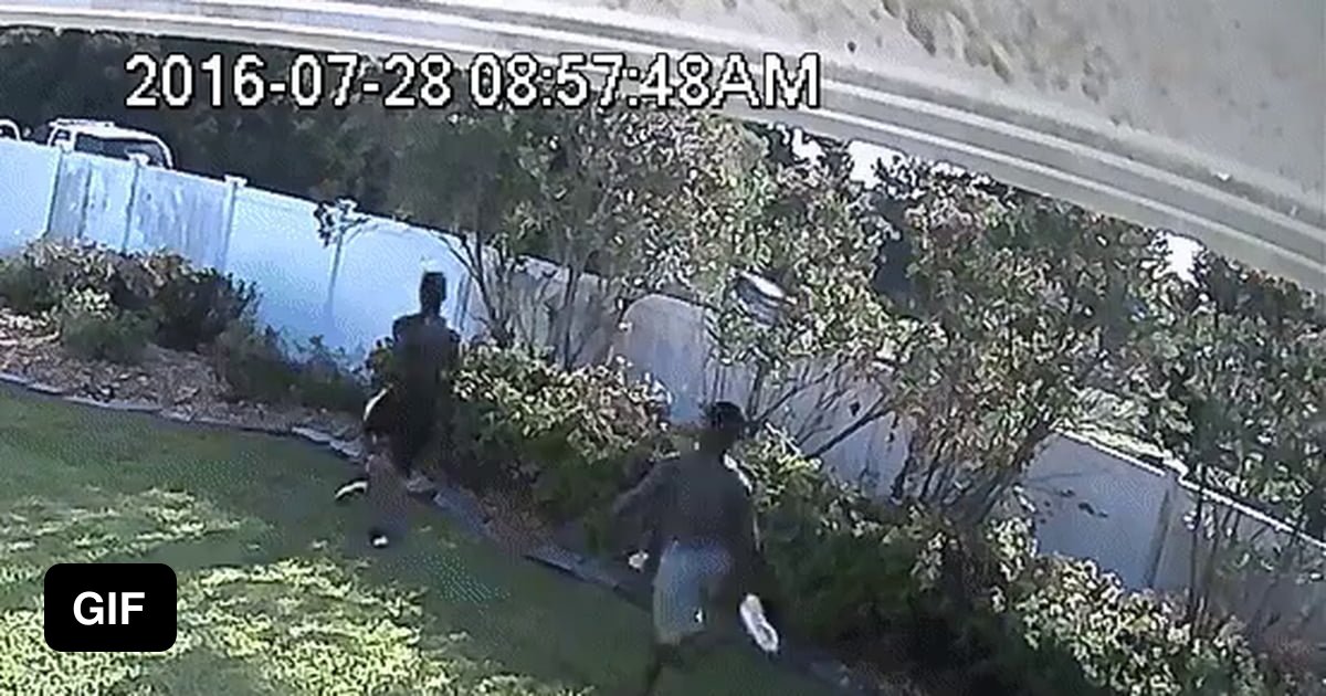 What dedication looks like - 9GAG