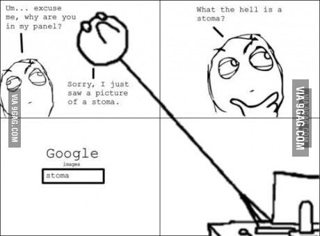 Do not google this. I repeat do not google this!!! - 9GAG