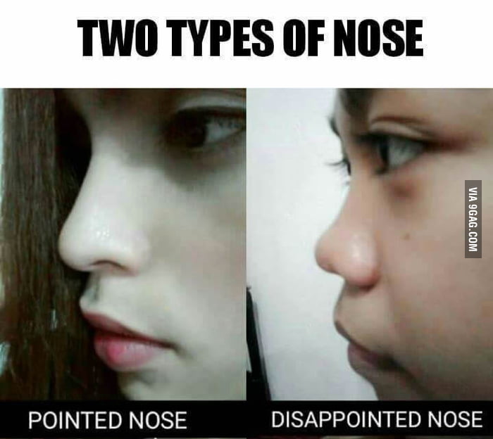 Two types of nose - 9GAG