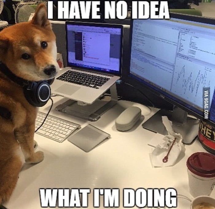 Dog Using Computer I Have No Idea