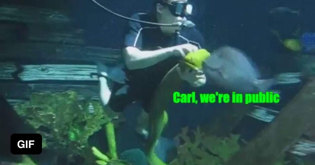 Cheating, even by eels. - 9GAG