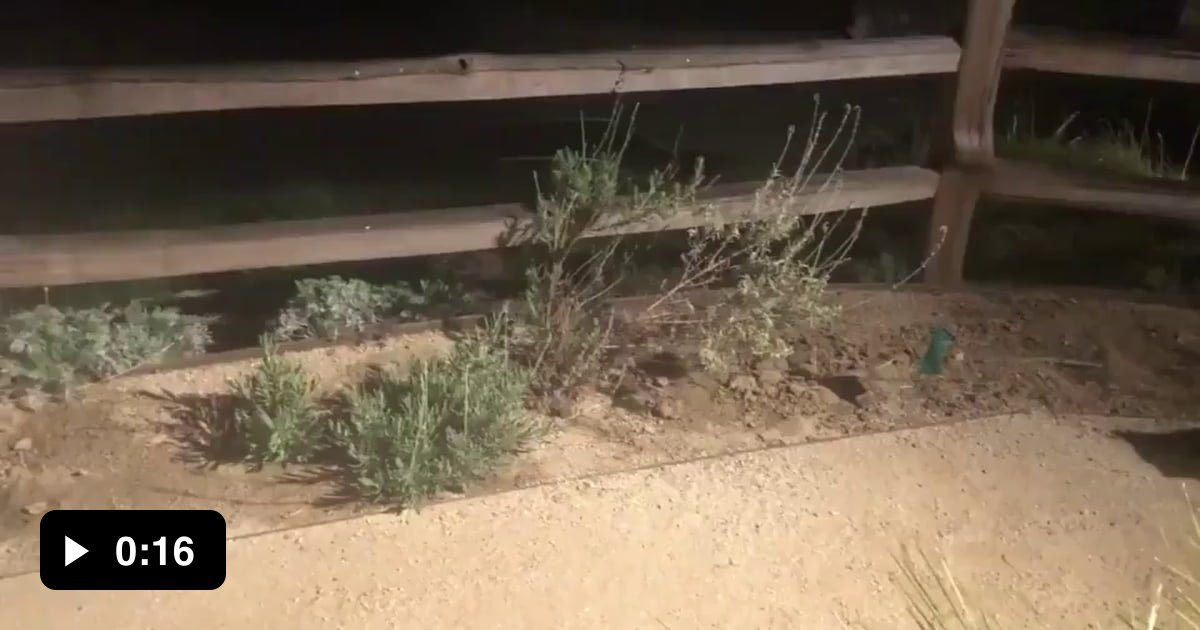 Everything’s normal here...just stand and act normal... - 9GAG