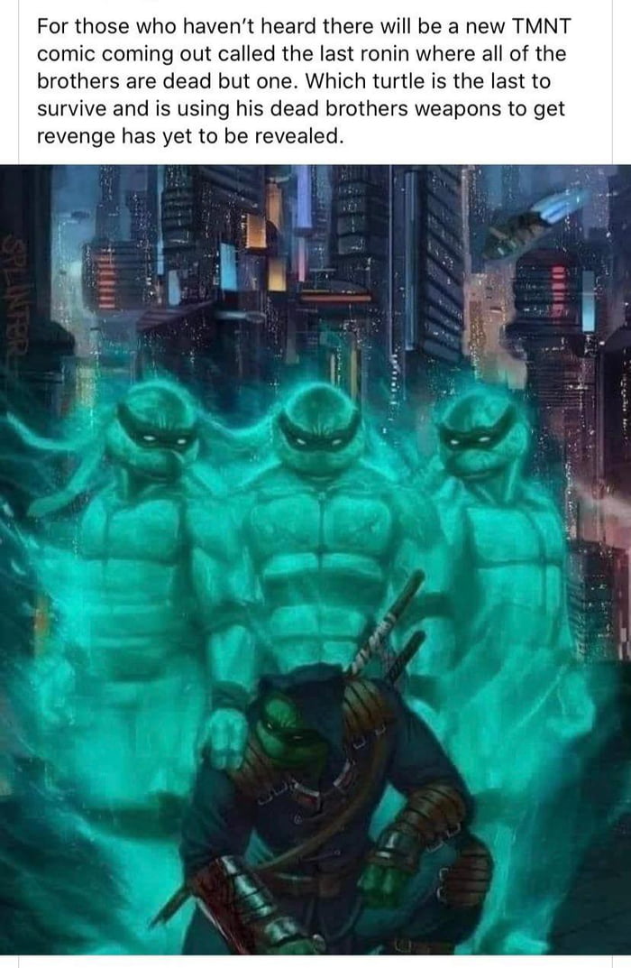 Turtle power! - 9GAG