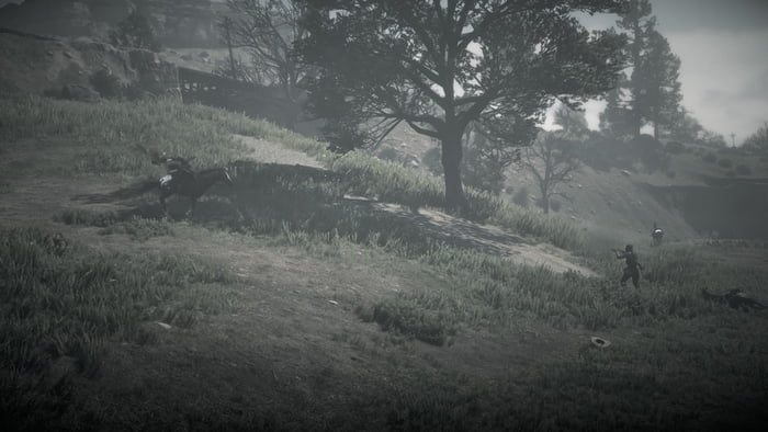 Red dead Redemption 2 Epic Headshot - 9GAG