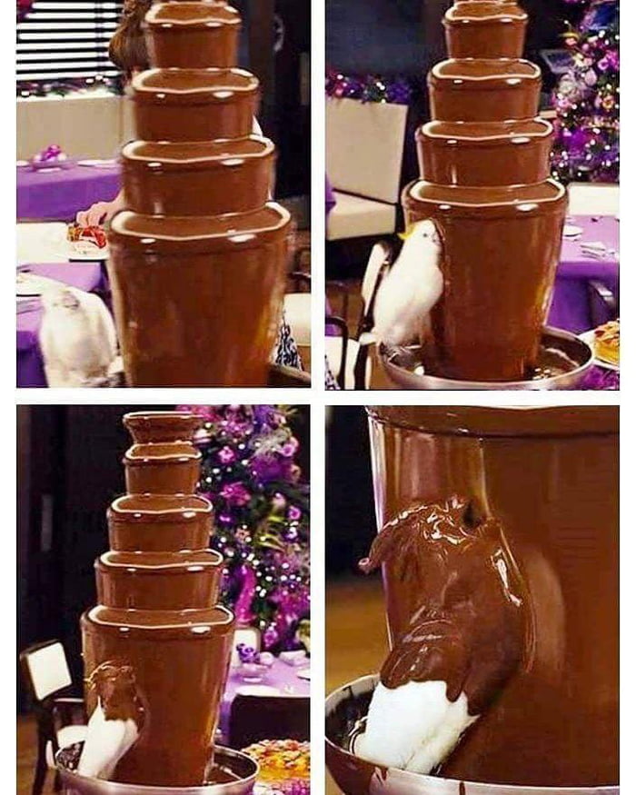 ChOcOlAtE RaIn - 9GAG