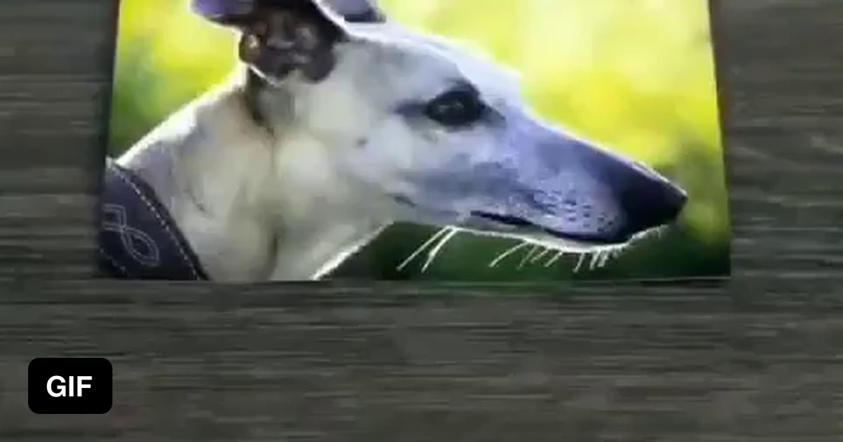 Looks like Magic - 9GAG