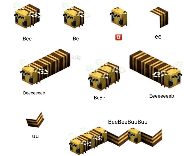 Beebee - 9GAG