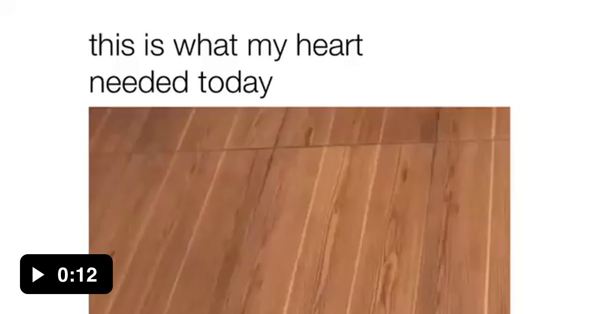 Hi, um i would like to order 1 puppy and an extra smol one pls - 9GAG