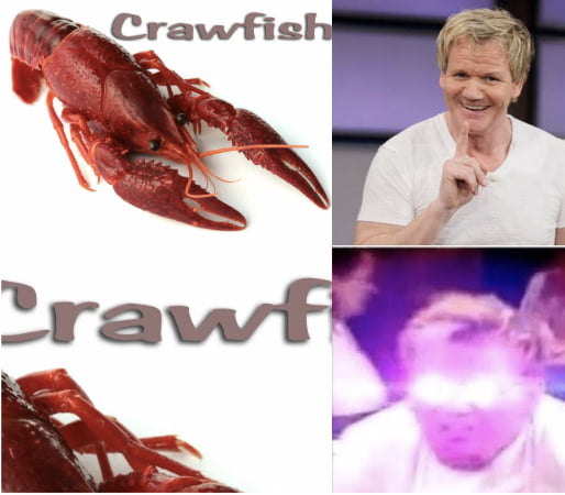 It's f**king RAW! - 9GAG