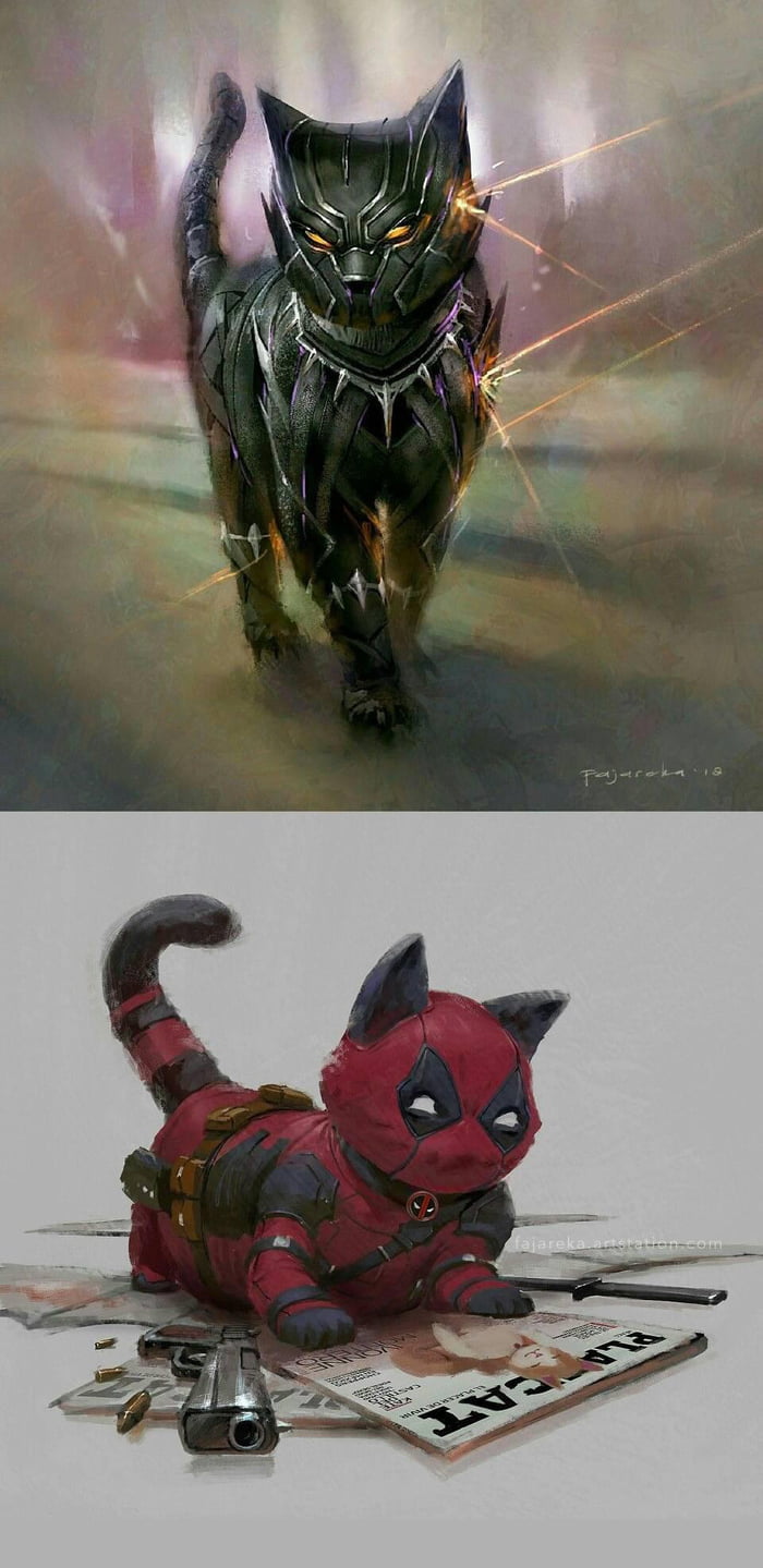 Cats of Marvel - 9GAG