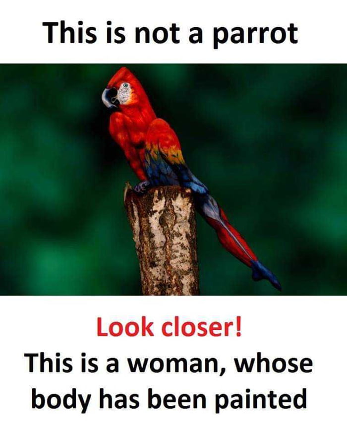 Sorcery 101 9GAG sorcery-101-9gag