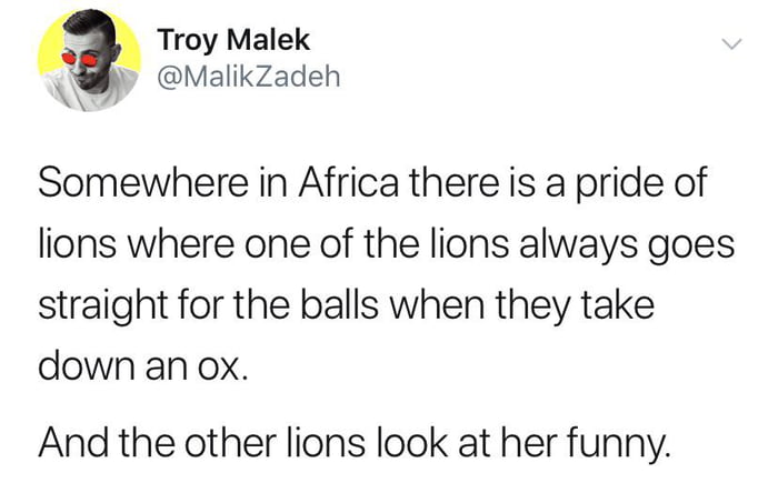 Going straight for the Pride Rocks! - 9GAG