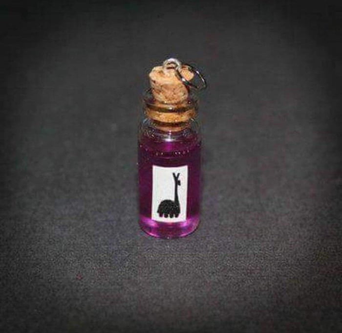 Extract of llama - 9GAG