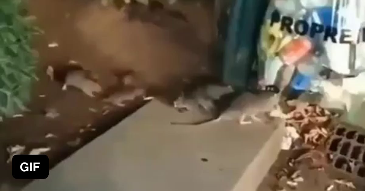 First World Country Problems... - 9GAG