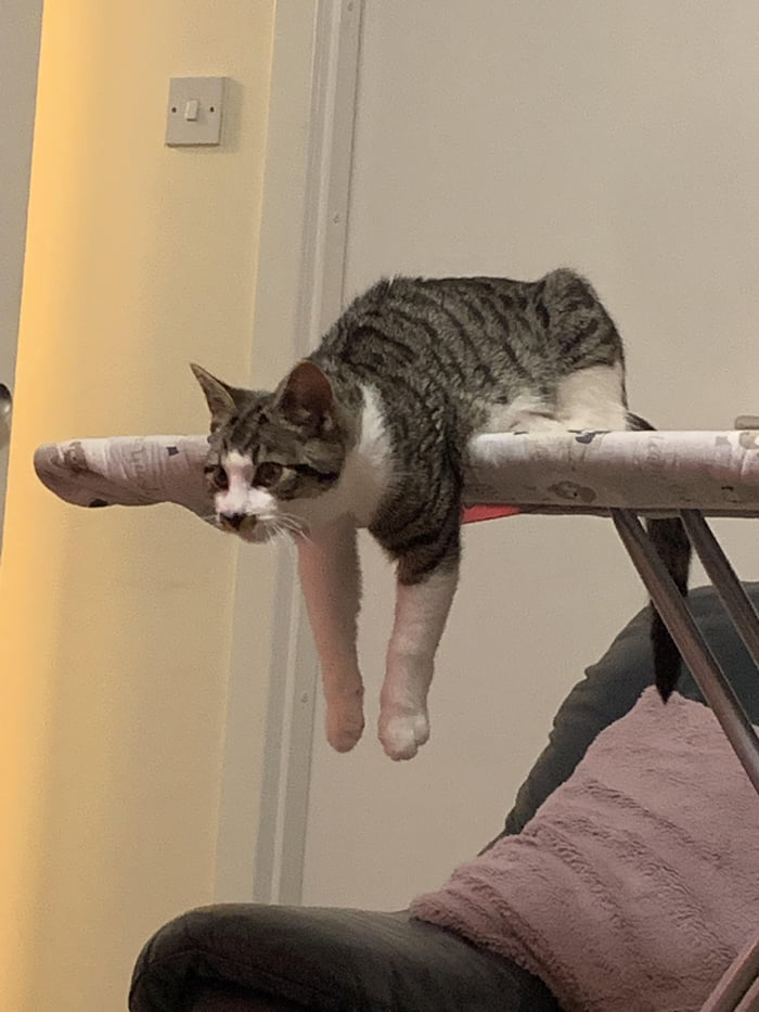 His favourite sitting position... - 9GAG