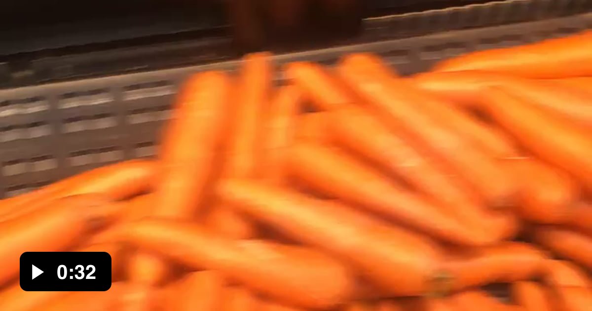 What are these !! Giant vegs - 9GAG