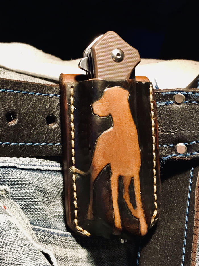 Dog sheath. (Better lighting) - 9GAG