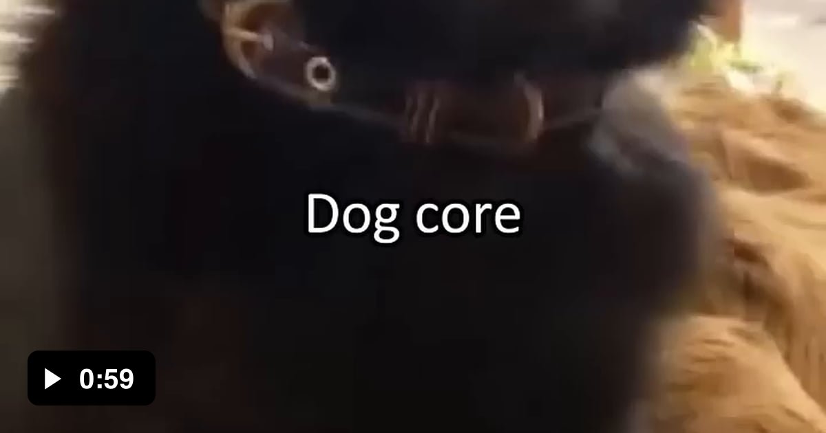 Dogs core - 9GAG